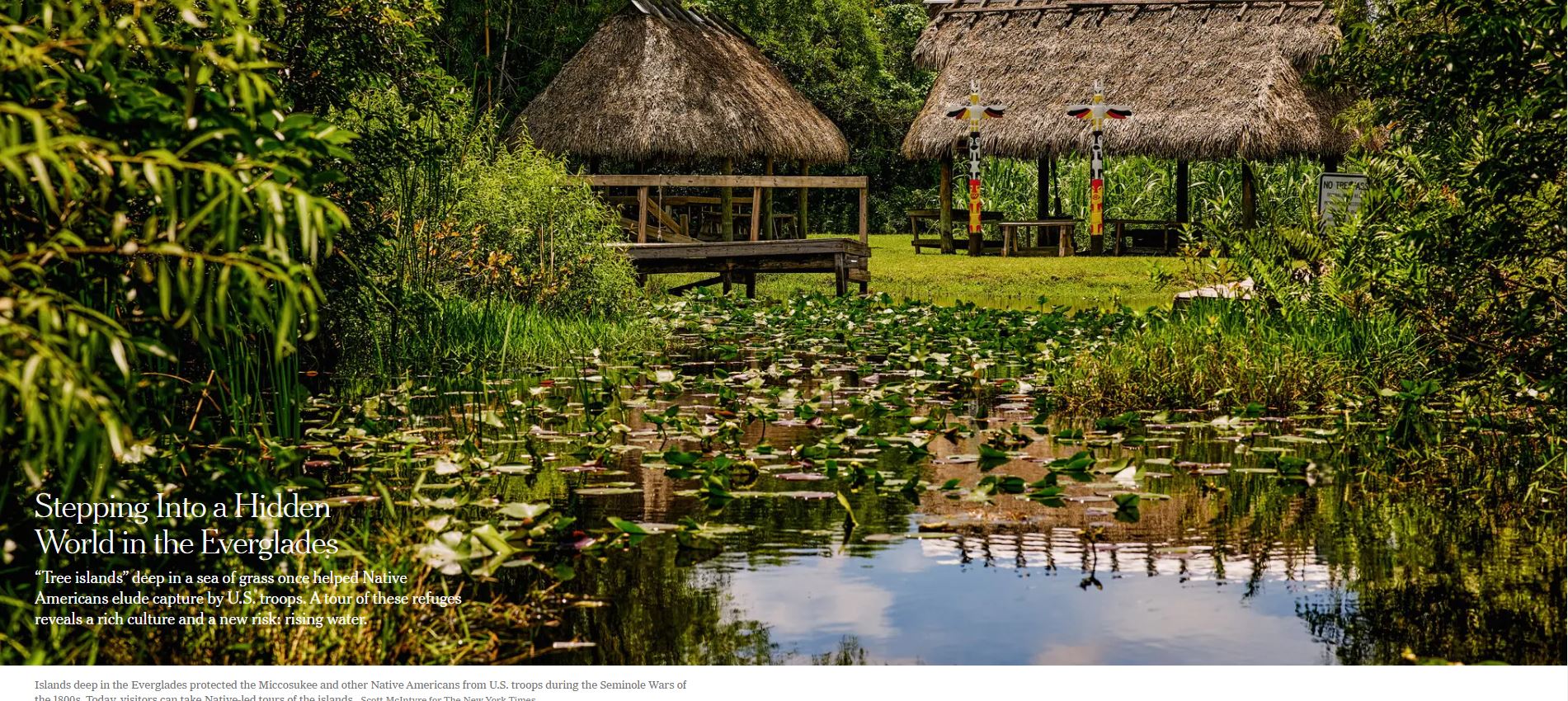 Deep In The Everglades, Visiting the Miccosukee 'Tree Islands ...